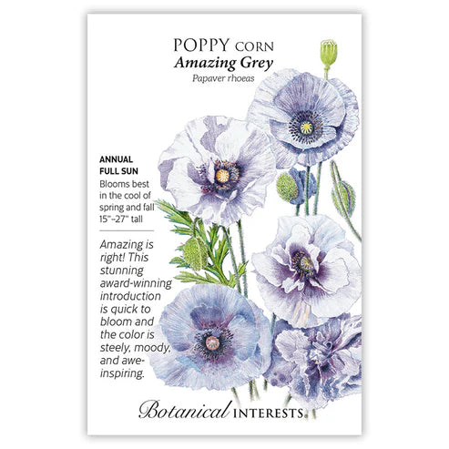 Poppy 'Amazing Grey' – Christy Webber Farm & Garden