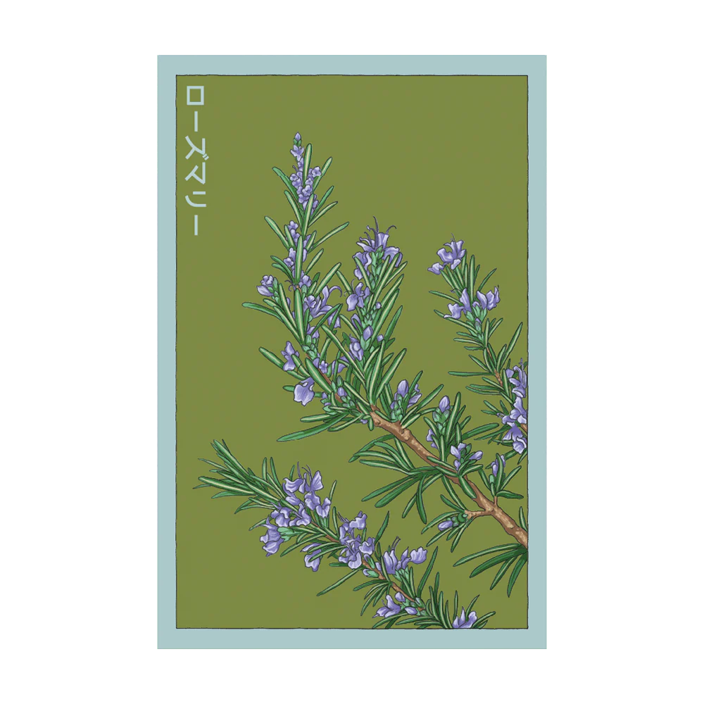 Rosemary Seed Packet – Christy Webber Farm & Garden